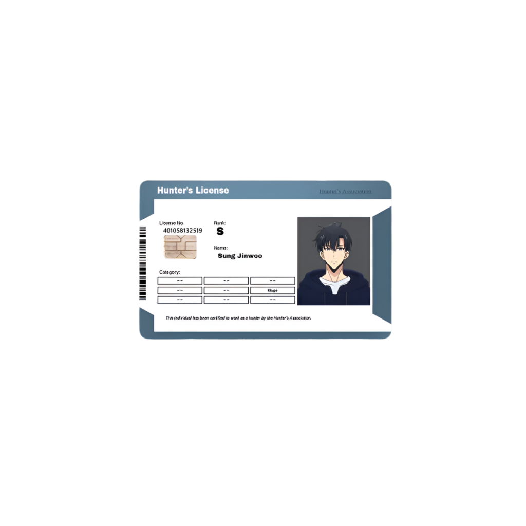 Sung Jin Woo ID Card Skin – Anime Hub